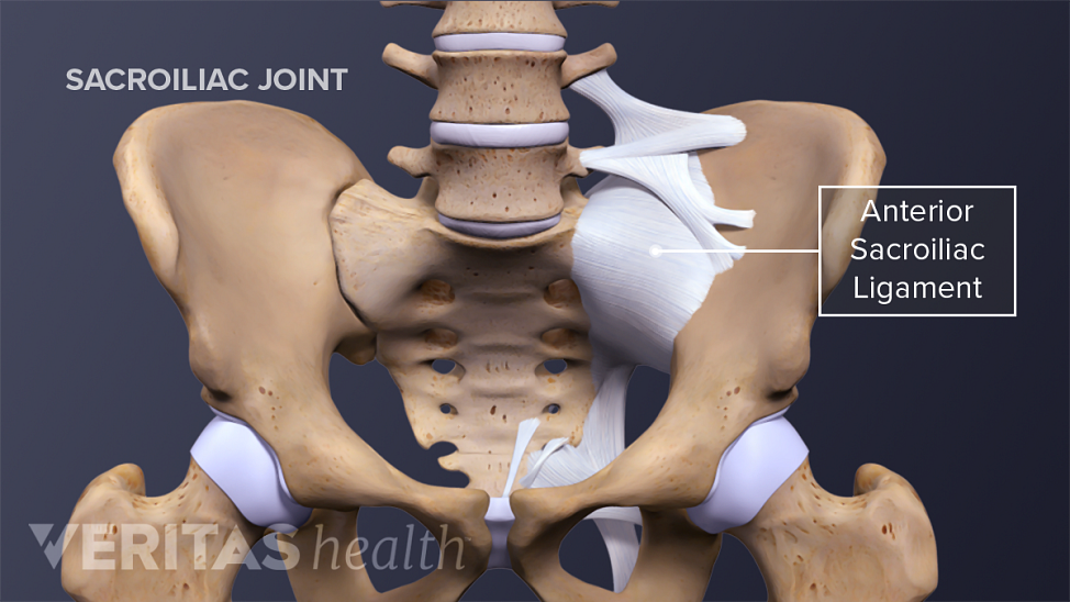 Sacroiliac Joint Anatomy Spine Health